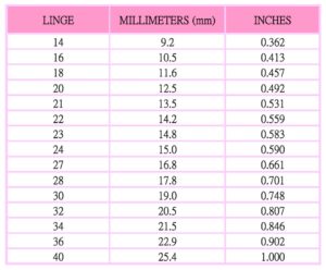 What is Ligne? 6 key points that you should know when you choose ...