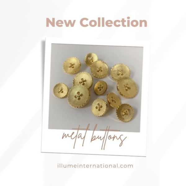 What is Ligne? 6 key points that you should know when you choose ...