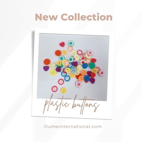 What is Ligne? 6 key points that you should know when you choose ...